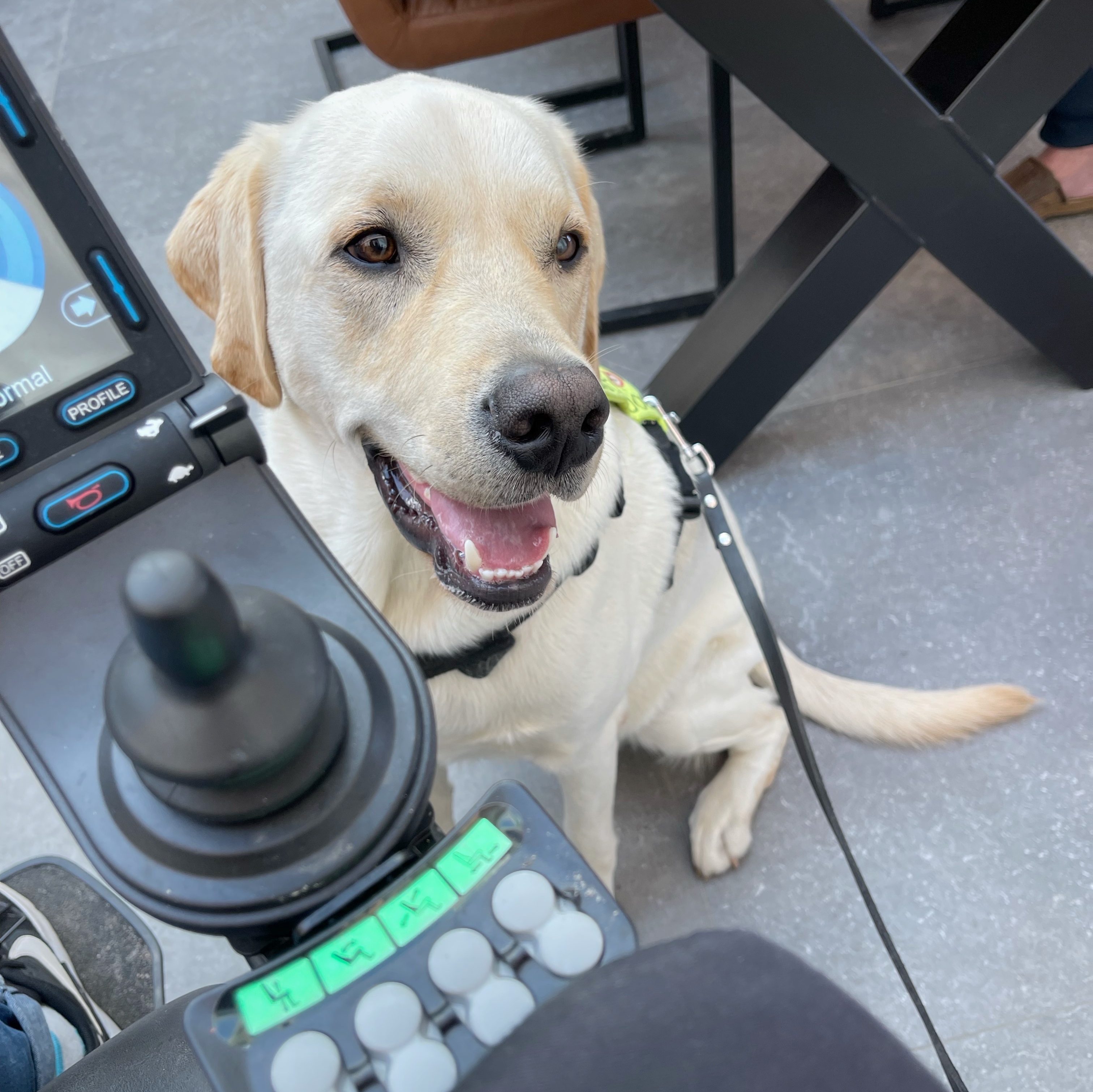 Over gemis, afscheid, winst en verlies | Welkom in de wereld van Tien