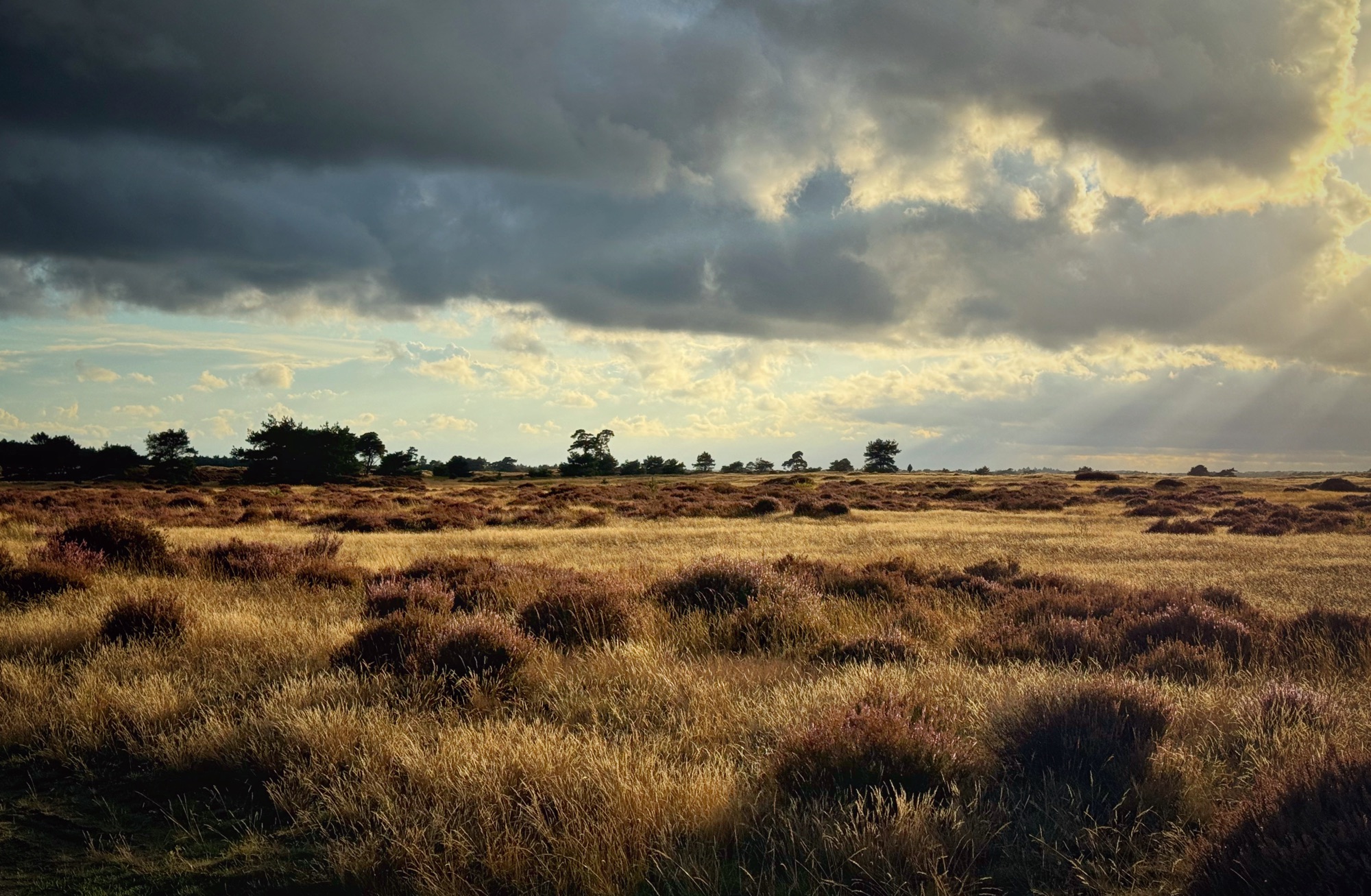 Het struikelen voorbij | Welkom in de wereld van Tien